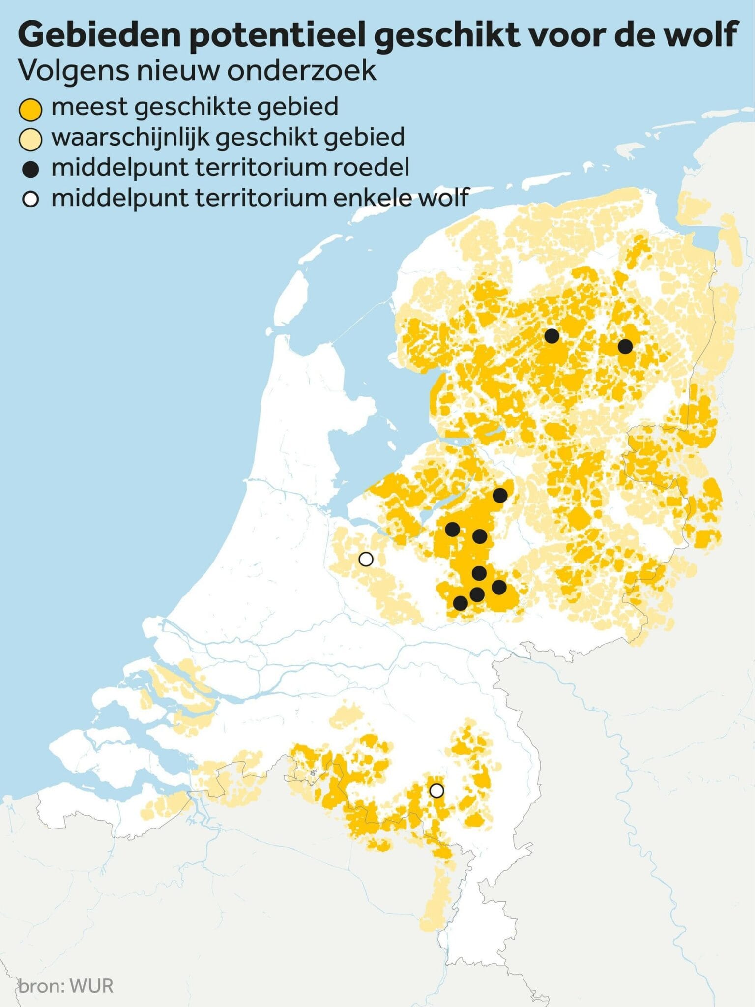 Wolven In Nederland 2025: Aantallen, Roedels & Toekomstverwachting